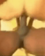 The Man The Myth Mandingo Sex Gifs, Porn GIF, XXX GIFs #3853667 - PICTOA